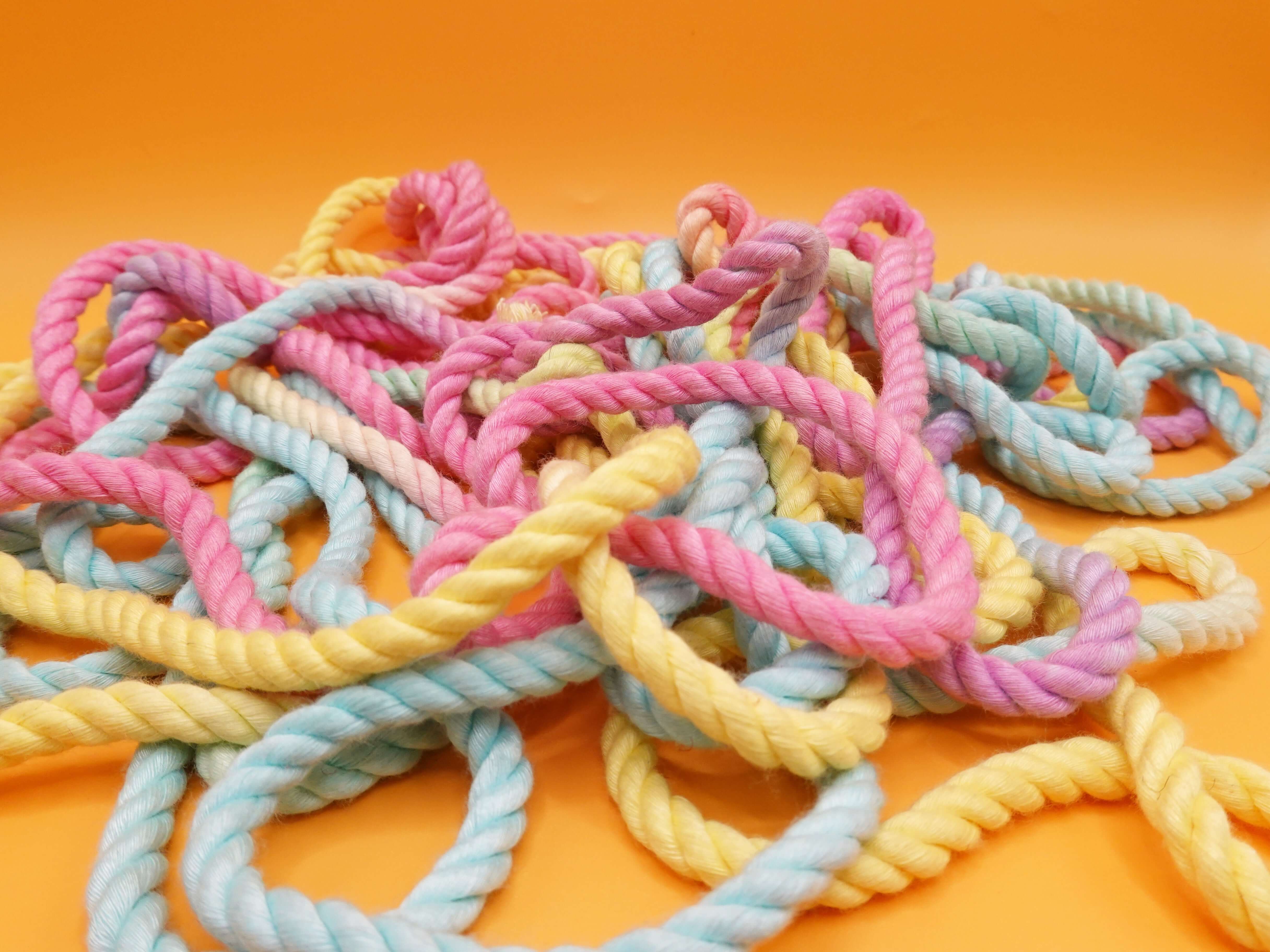 Bamboo Rope – Shoshinsha
