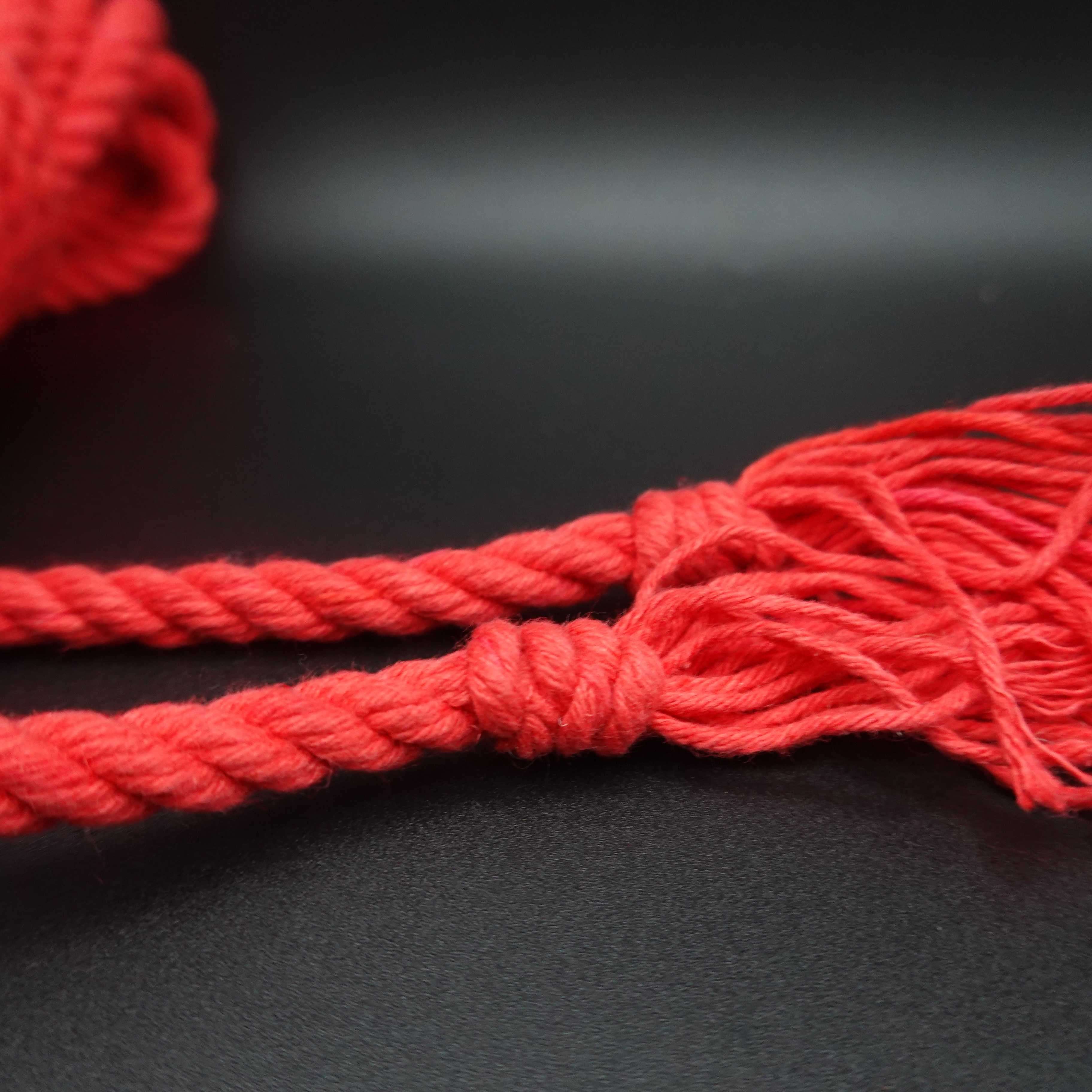 JBO-free Kinbarku Hemp Rope – Shoshinsha